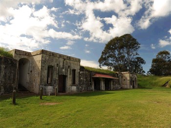 Day tours departing from Brisbane